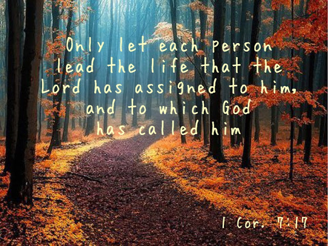 Bloom Where You Are Planted {1 Cor. 7:1-9:27} - Women in the Word