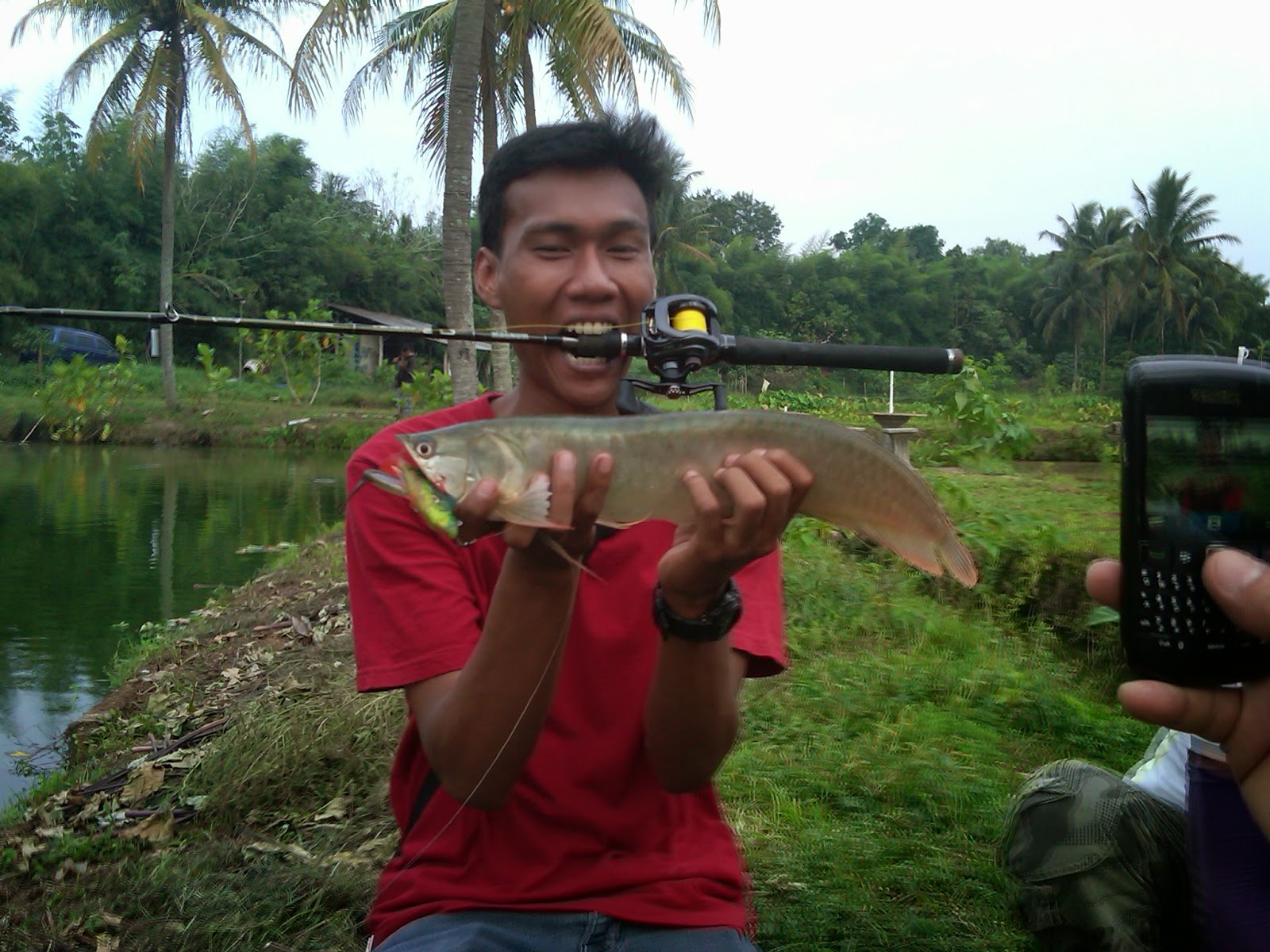 Mancing ARWANA & Baramundi @Rawakalong Casting Ground - The Boncos Time
