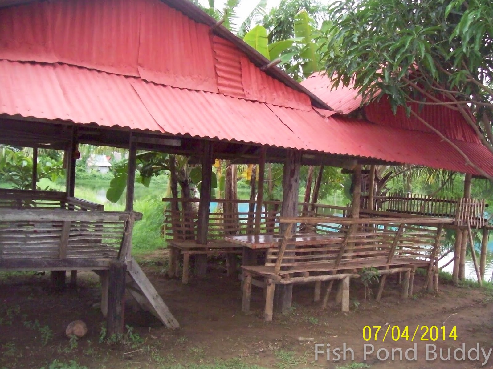 Fish Pond Buddy: How to Build a Bamboo Farm Hut