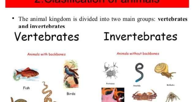 Arts & Crafts, English and Science Blog: Unit 5: Animals. Science. 2nd ...