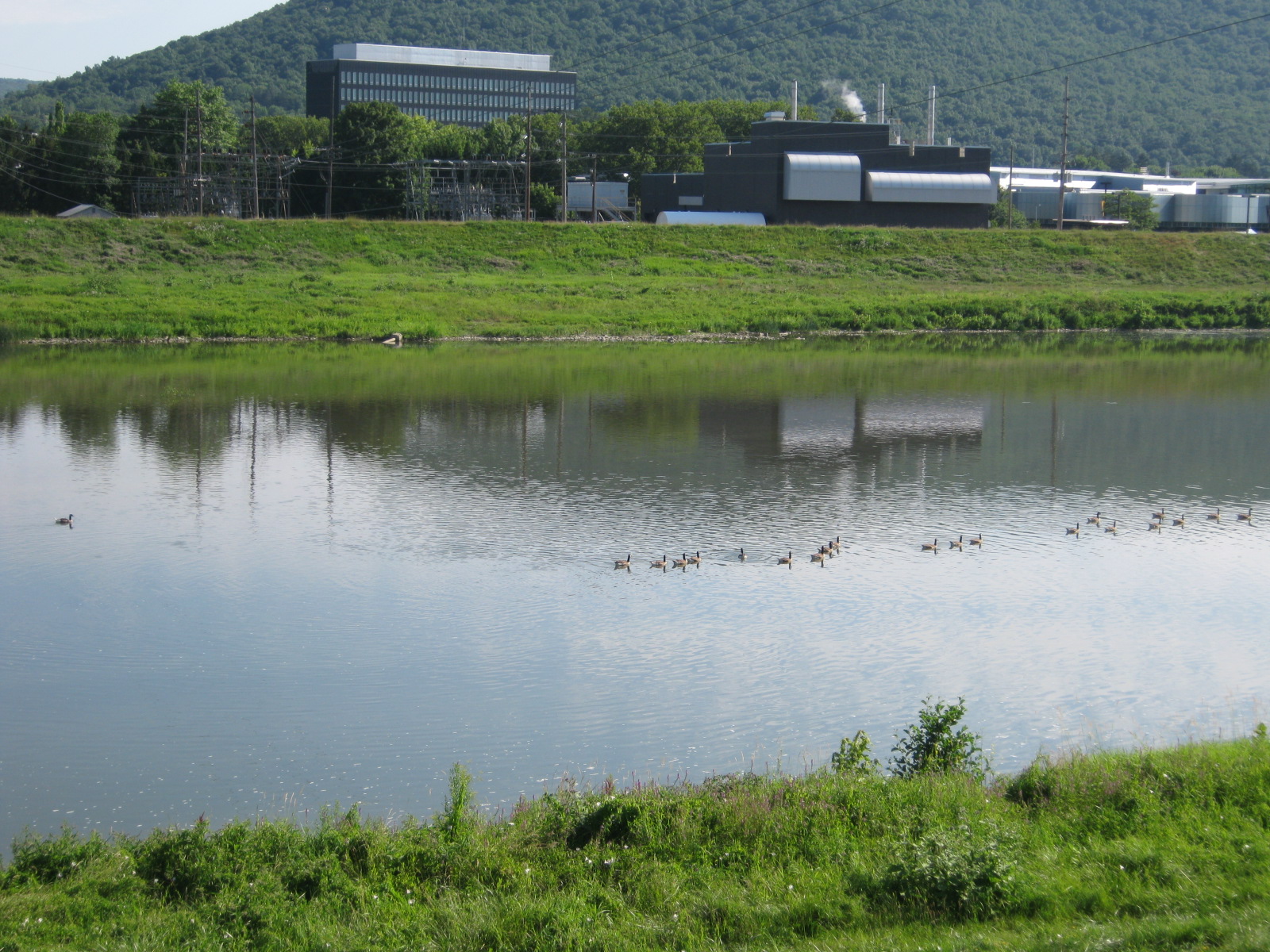 Corning NY Step by Step: a Chemung River morning