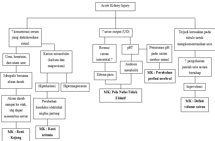 Sistem Perkemihan 2 ( S1 - 4A ): ASUHAN KEPERAWATAN PADA PASIEN GGA (GAGAL GINJAL AKUT)