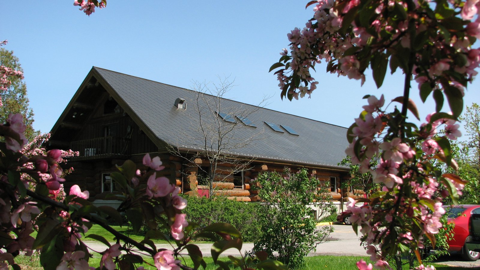 Zigzag de photos: Cabane en bois rond