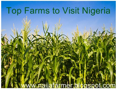 Top Farms in Nigeria to visit if you want to learn about farming ...