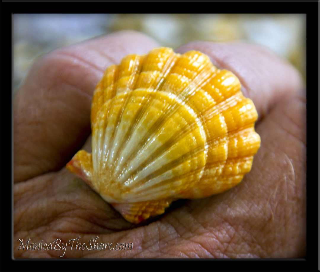 Monica's Blog: July 2012