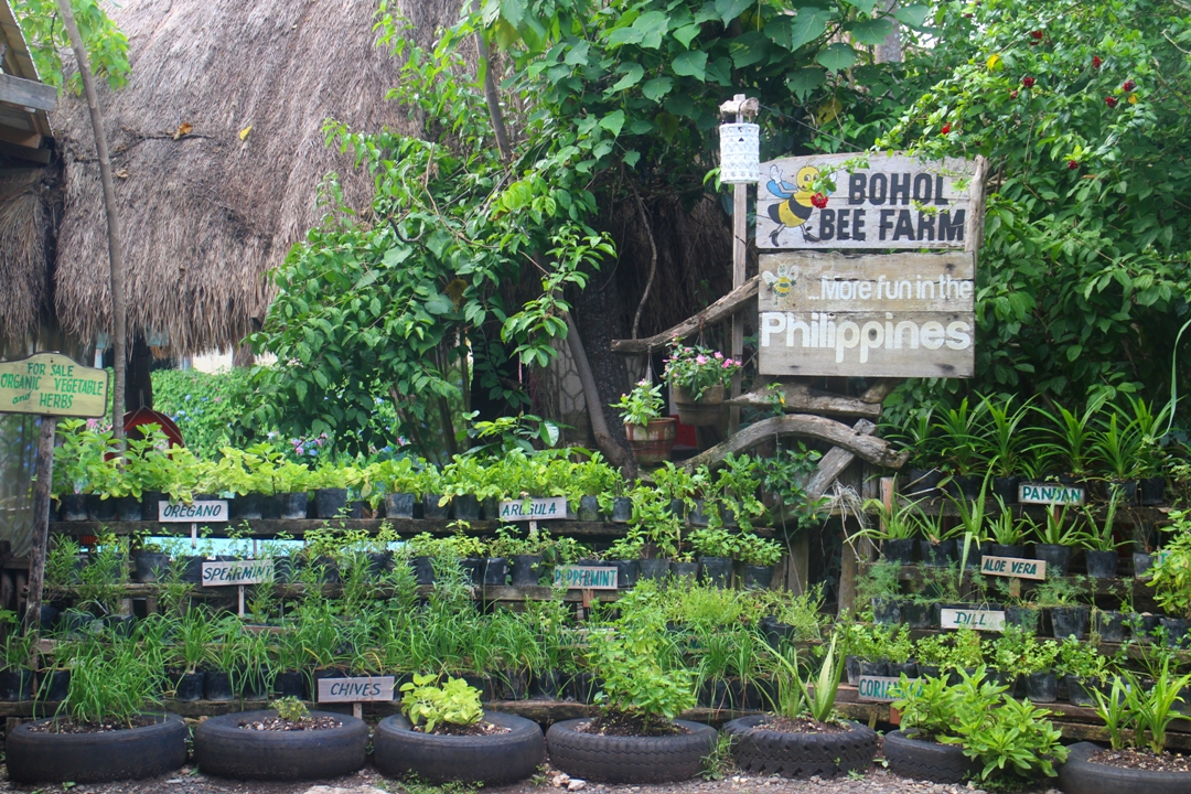 Juan Trip At A Time: Bohol Bee Farm: What's The Buzz About?