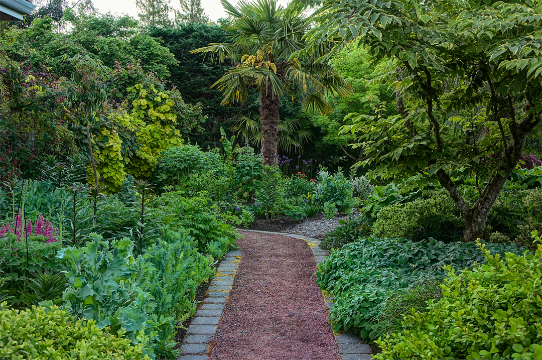 Linda Cochran's Garden: Down the Garden Path