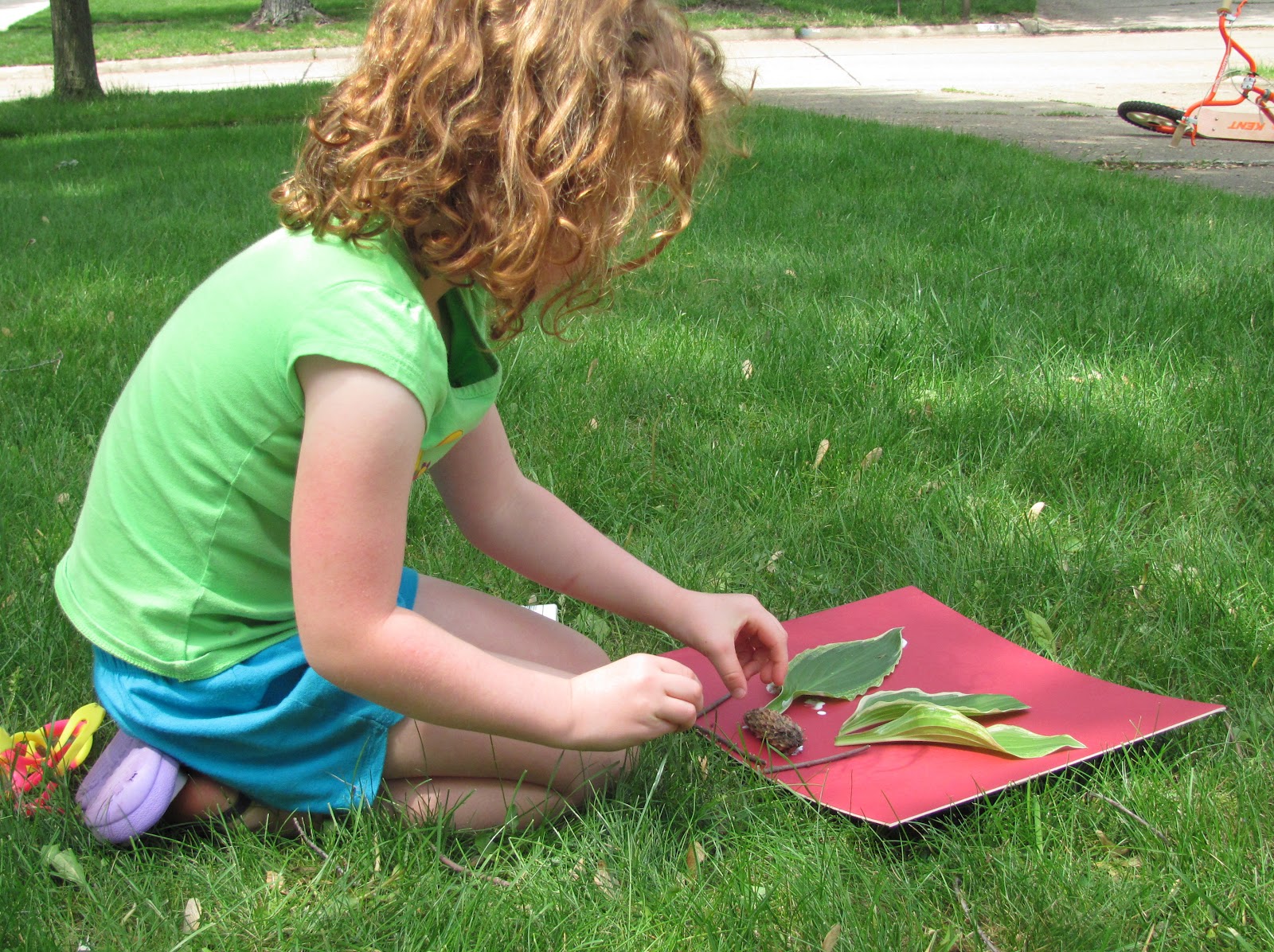 The Chocolate Muffin Tree: Outdoor Nature Collages