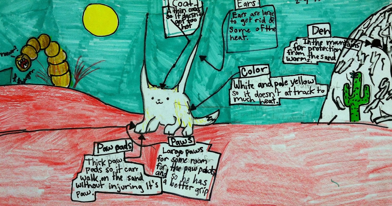 Hello Learning!: Animal Adaptations