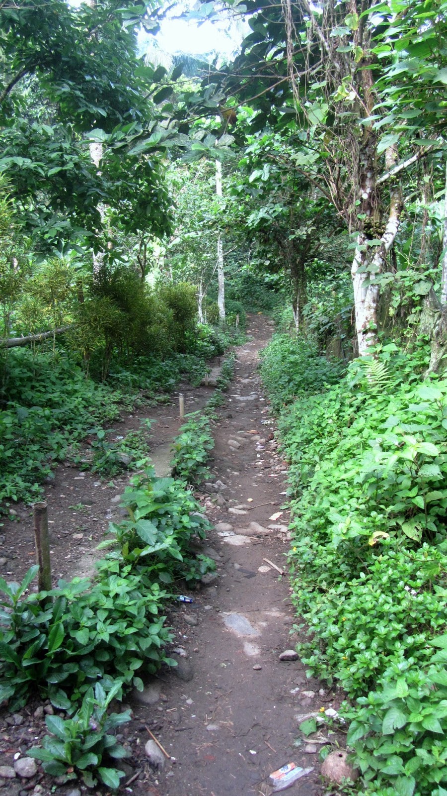 Crimson's Travel Report: Mt. Makiling: with side trip to Dampalit Falls