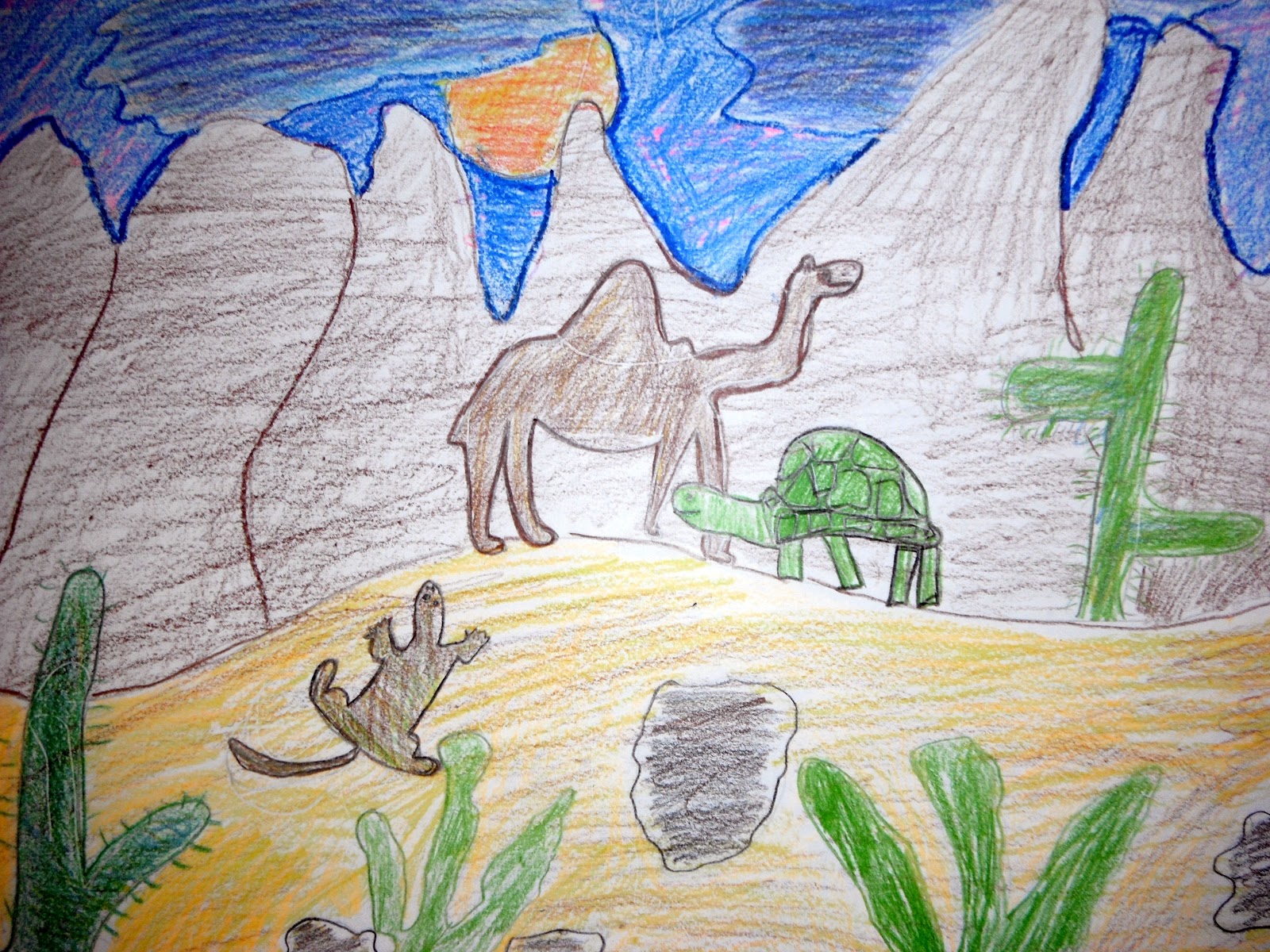 Cassie's Corner: Desert Habitats