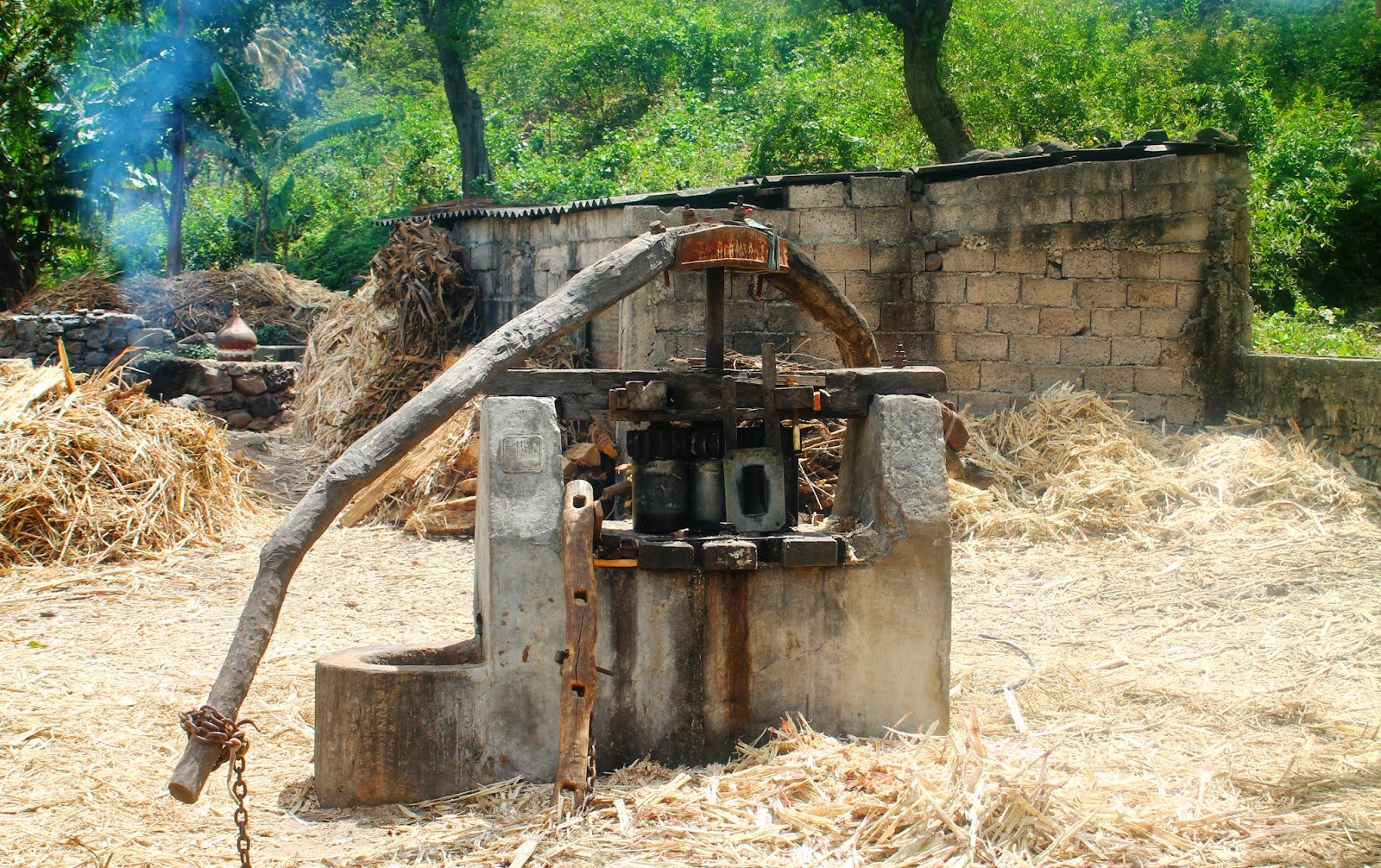 Santa Catarina tem... : Trapiche (Trapitxi)