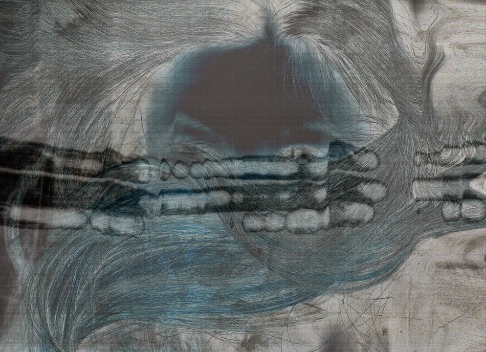 The Photographic Sense