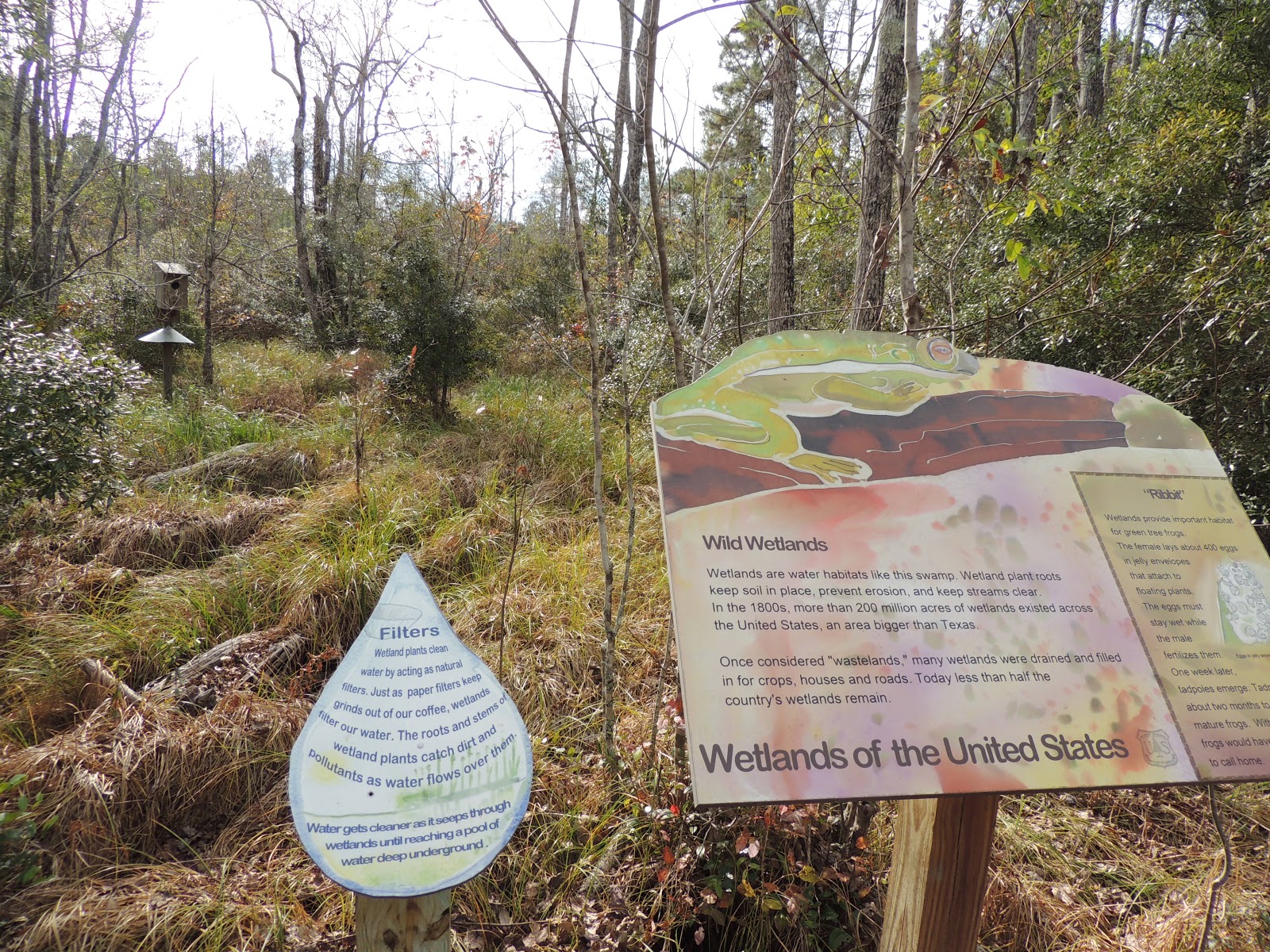 1000 Hikes in 1000 Days: Day 747: Sewee Visitor Center - Nebo Trail ...