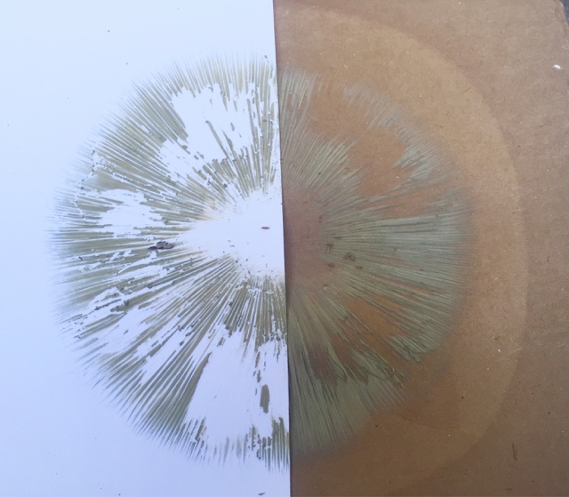 The Foraged Foodie: Making spore prints for wild mushroom ...