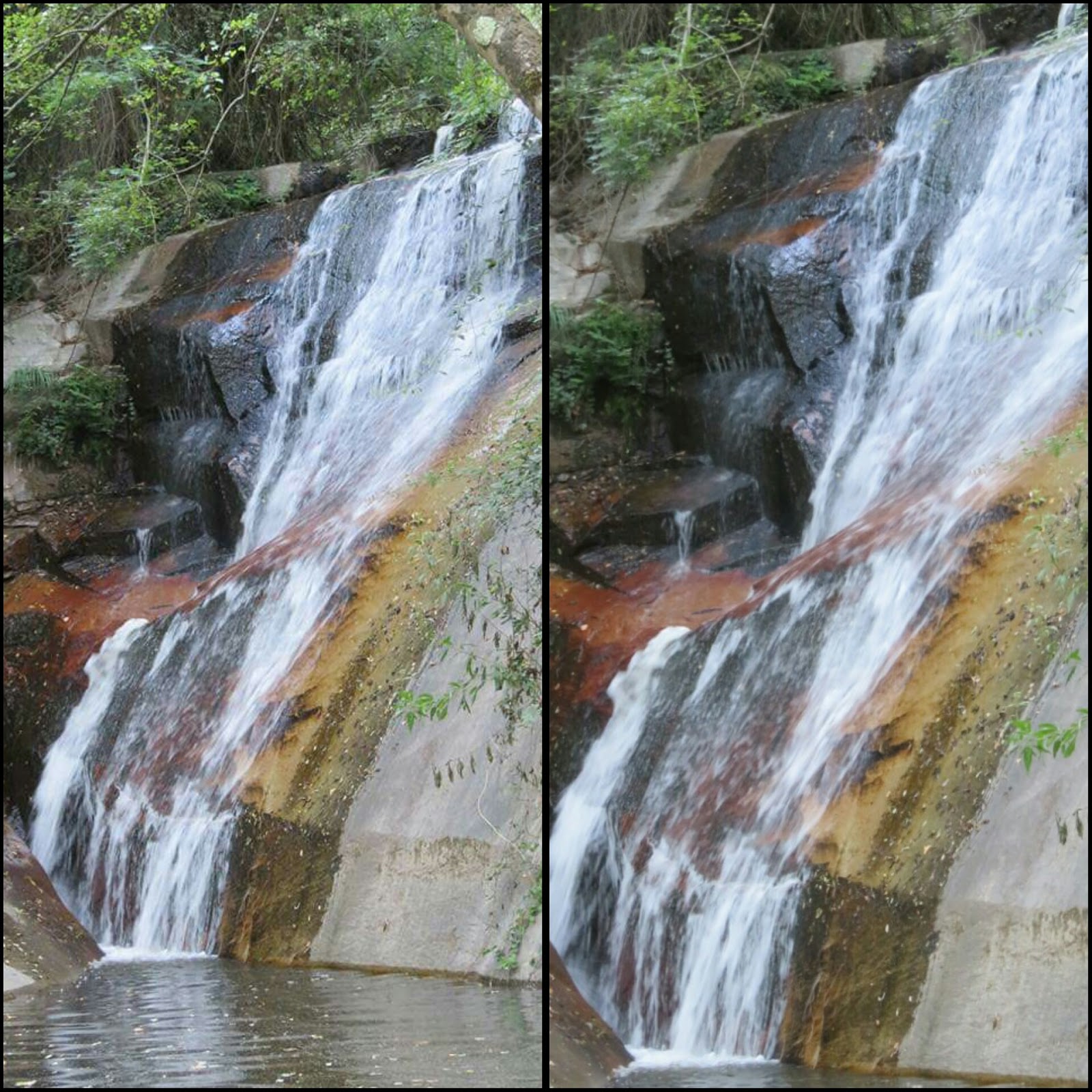 PARC MEDIAMBIENTAL DE GUALBA