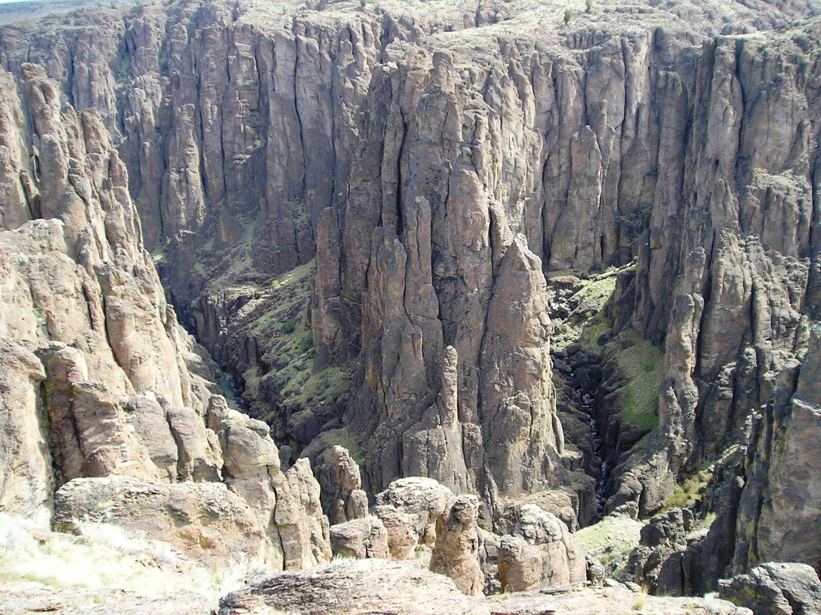 Birding Is Fun!: Three Forks of the Owyhee River