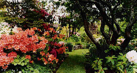 Angol kertek | Egy kis Anglia itthon...