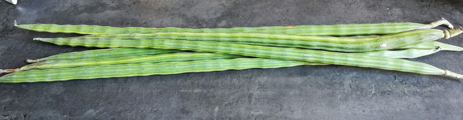 Vinita's Family Blog: Murunga (drumstick) curry