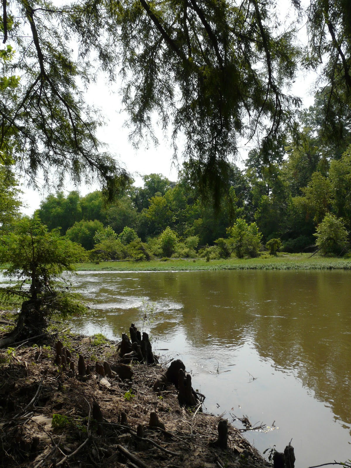 Archiving throughout Arizona, New Mexico, Oklahoma, and Texas: Little ...