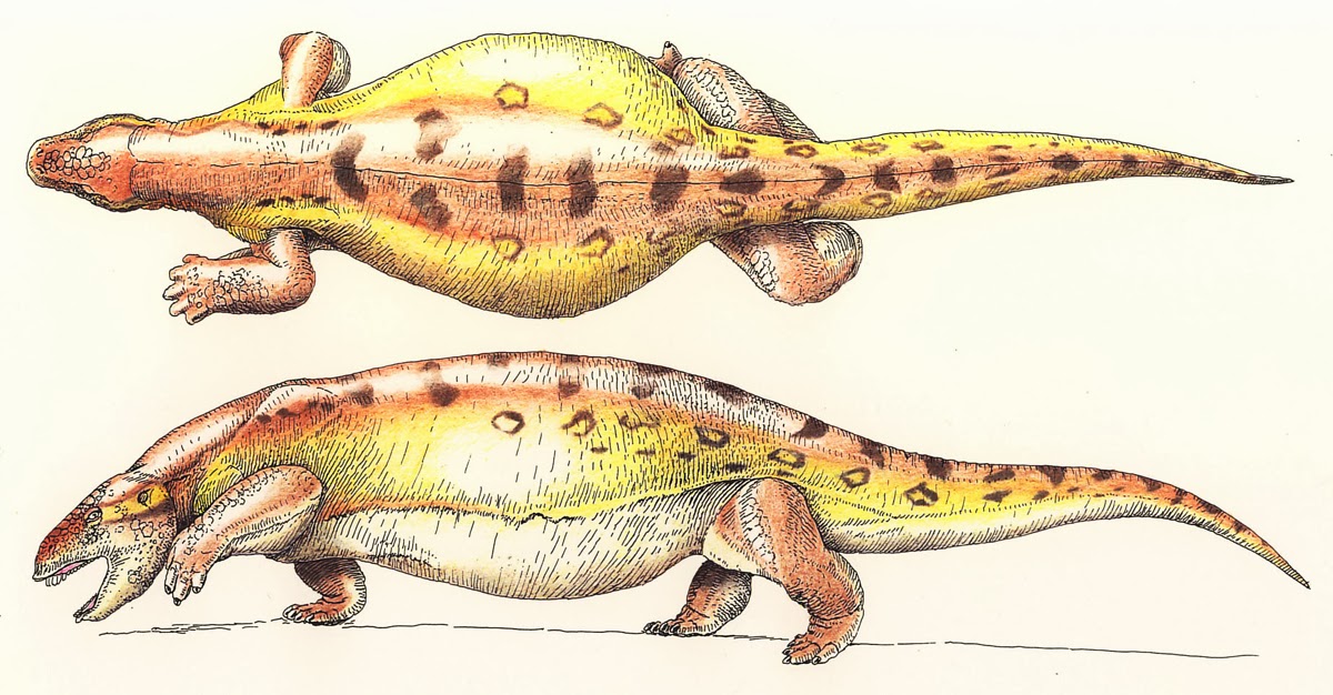 What happens when a non-accredited paleontology fan blogs: Species that ...