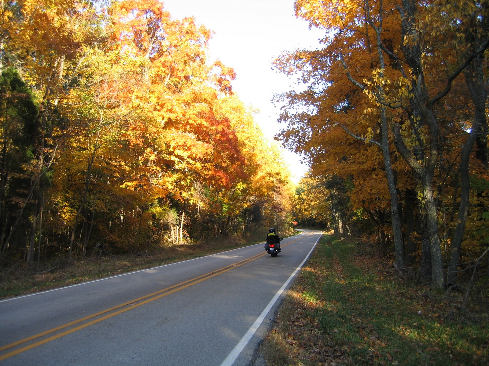 Explore! Southern Indiana: A Walk in the Woods: German Ridge Trail