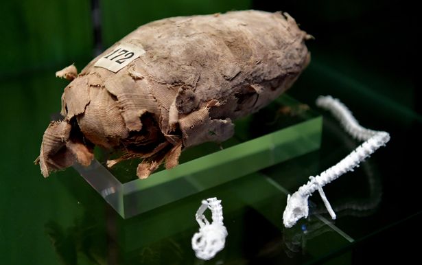 Khentiamentiu: The mummified fetus and other mysterious treasures in ...