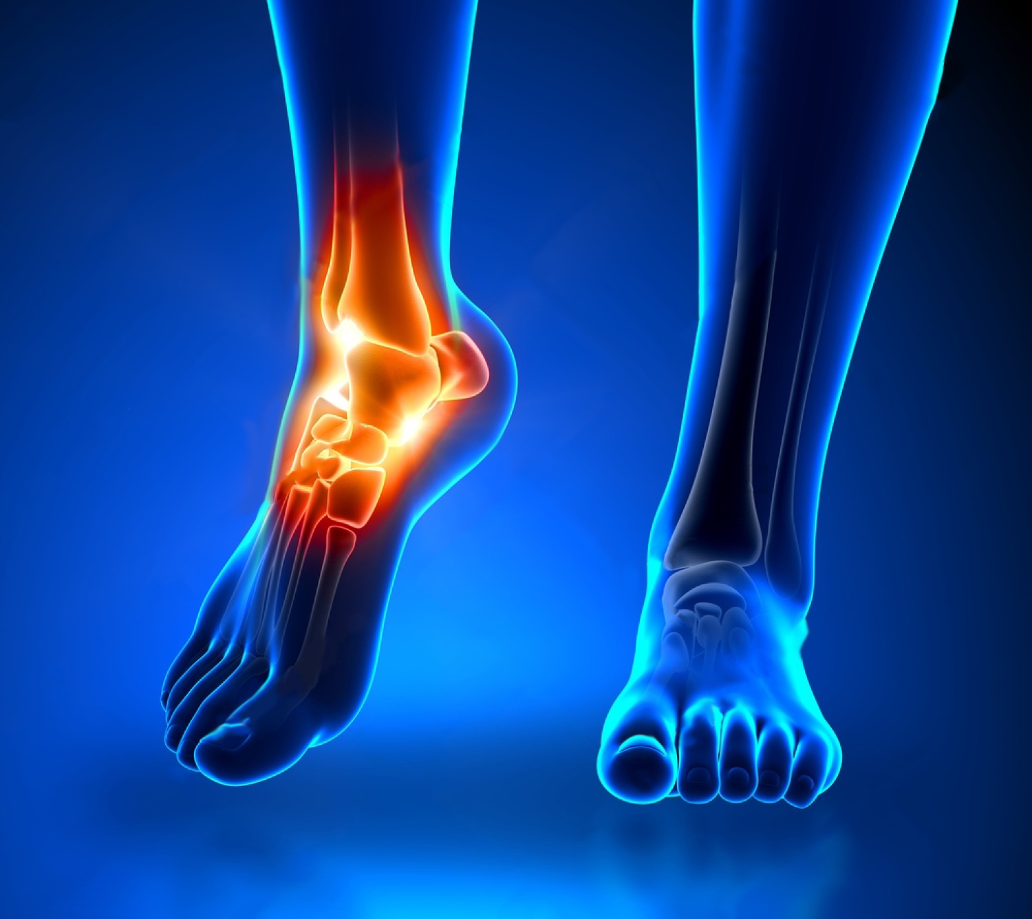 Ankle Mobility: Dorsiflexion & Science