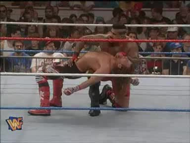 Enuffa.com: The History of WWE King of the Ring (1995)