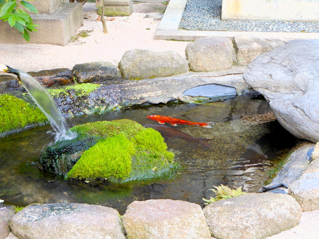 Life in Fukuoka, Japan: Shrine and Temple Tour