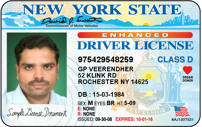 New york business license lookup - smithlasopa