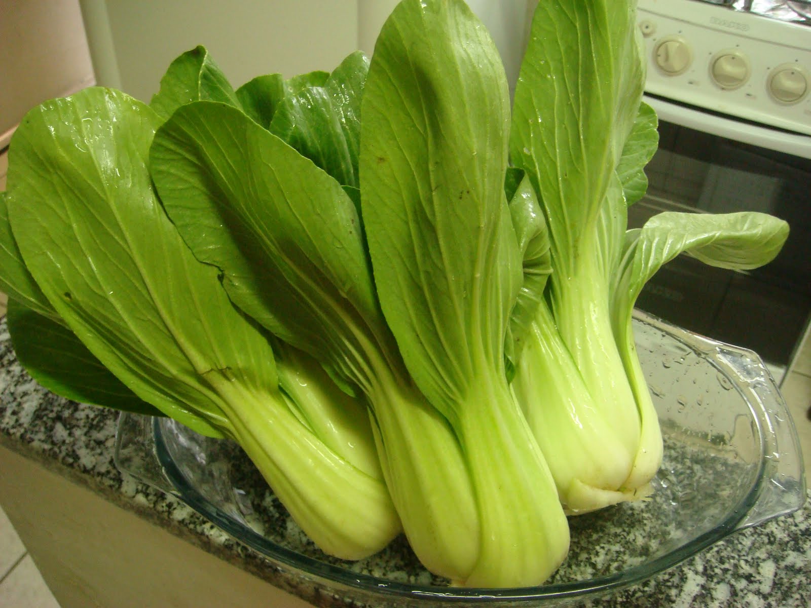 Receitinhas da Tere: Acelga chinesa refogada