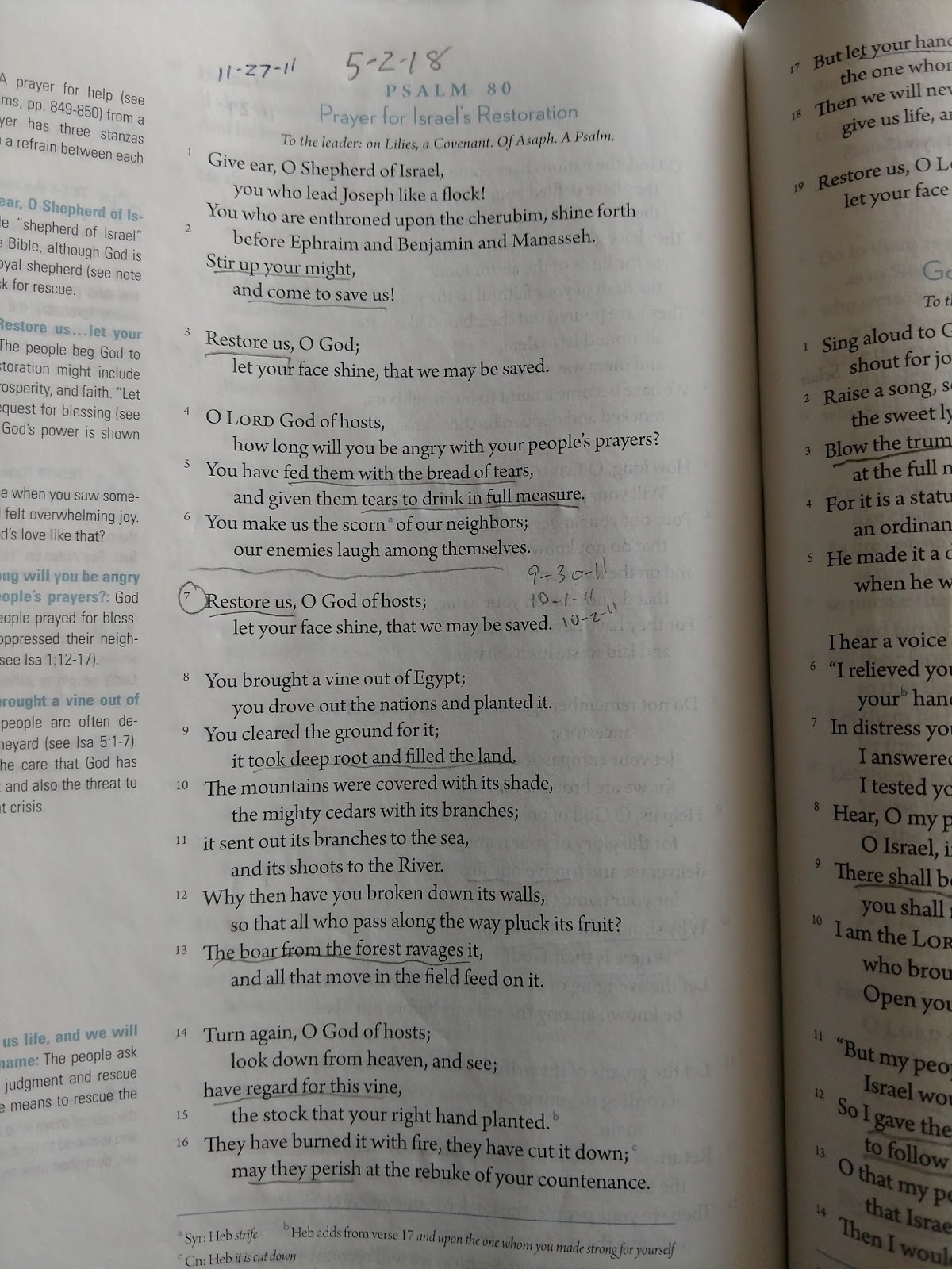 Driven To Drink Psalm 80 Restore Us driven-to-drink-psalm-80-restore-us