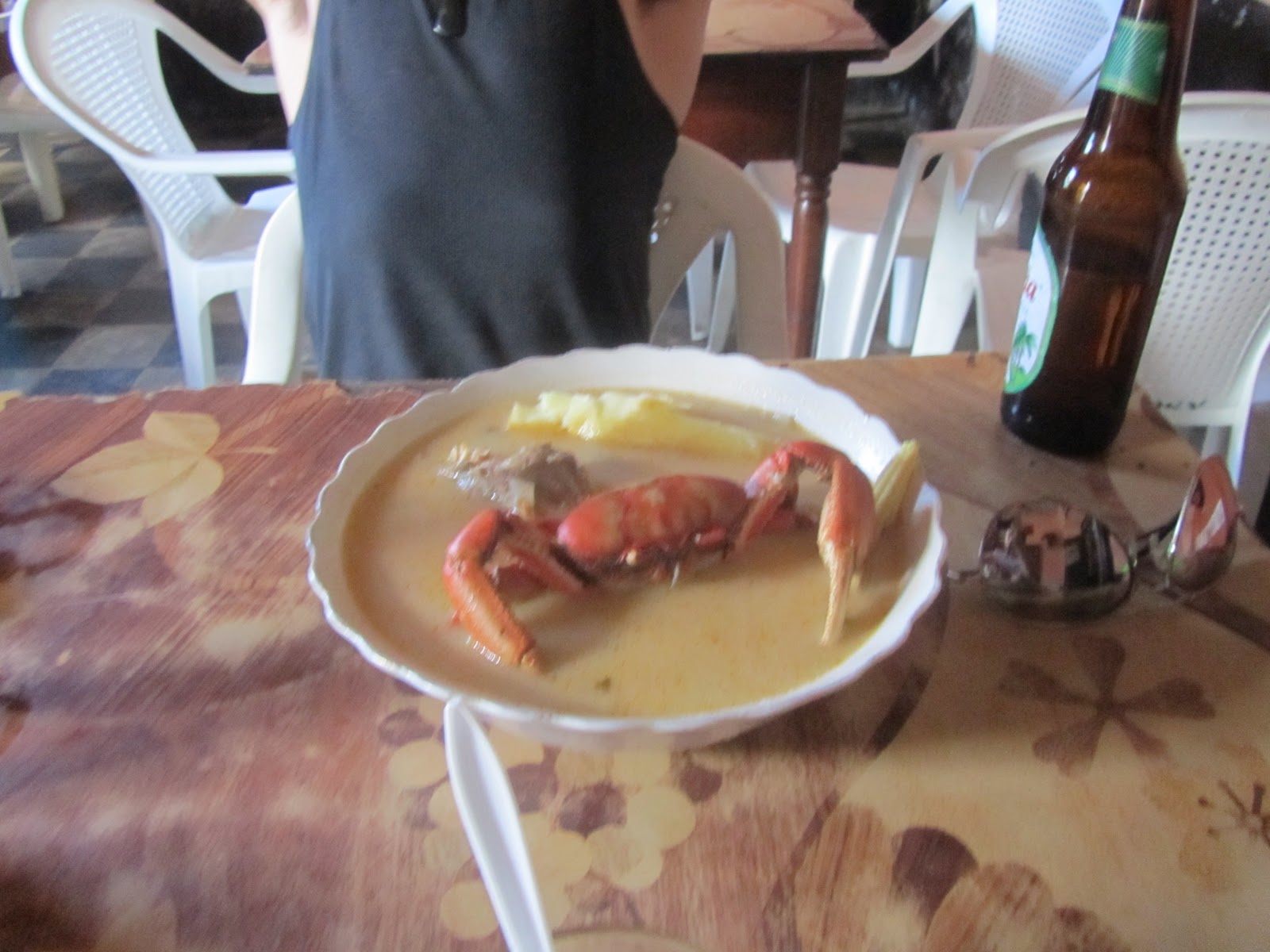 ♪RockStar Diplomat♫: Iguana Soup pt. II