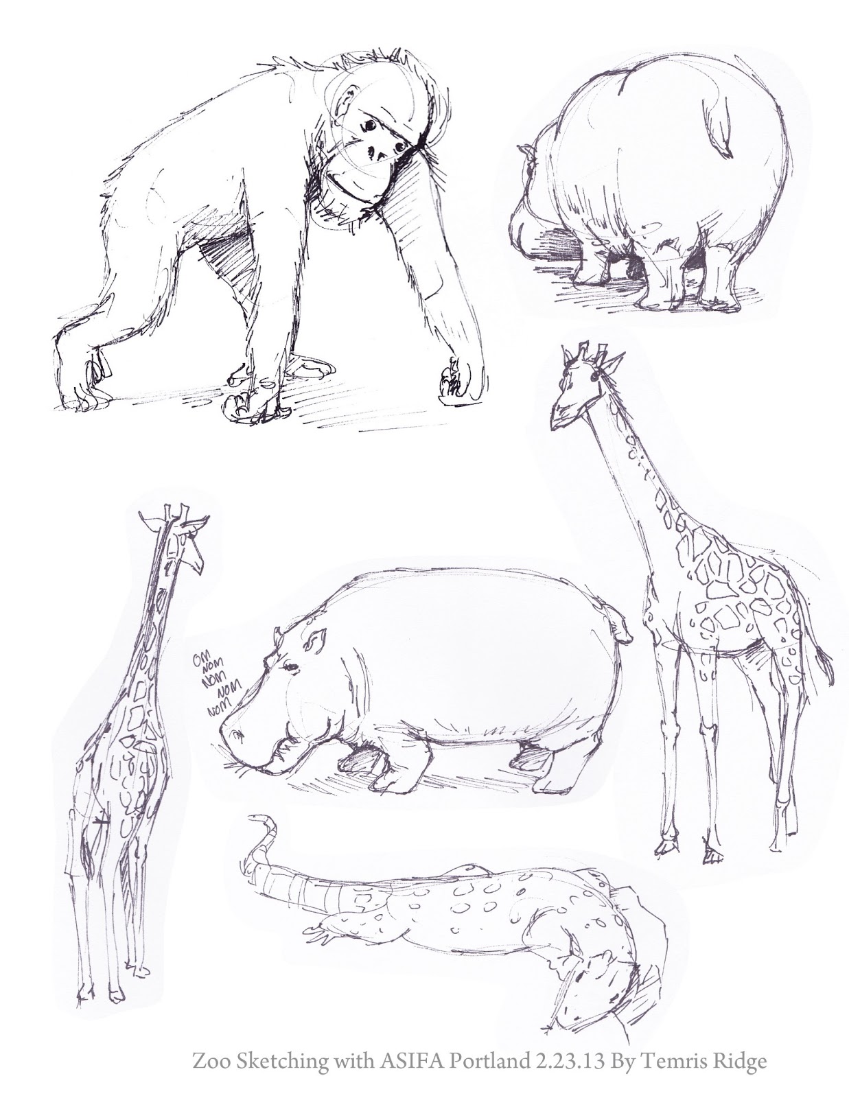 Sketch Ridge: Another zoo day with ASIFA Portland!