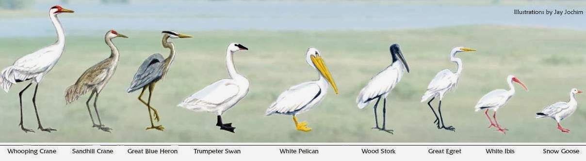 "Sampath Speaking" - the thoughts of an Insurer from Thiruvallikkeni ...