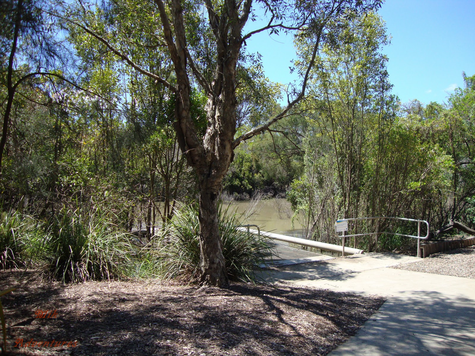 Mik's Random Adventures: EXPLORING OXLEY CREEK COMMON