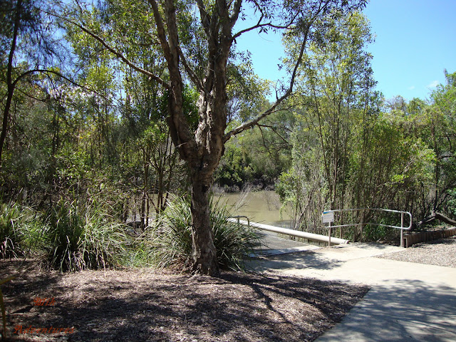 Mik's Random Adventures: EXPLORING OXLEY CREEK COMMON