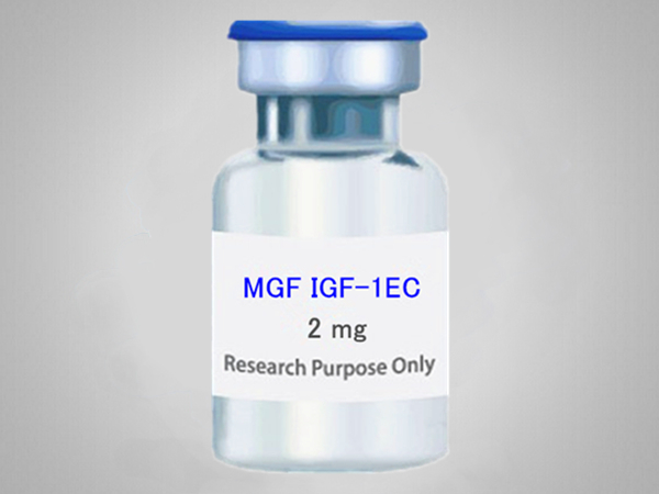 MGF IGF-1Ec ~ Culturismo total