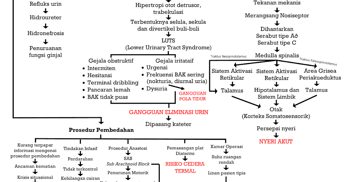 Pathway BPH (Benigna Prostat Hiperplasia)