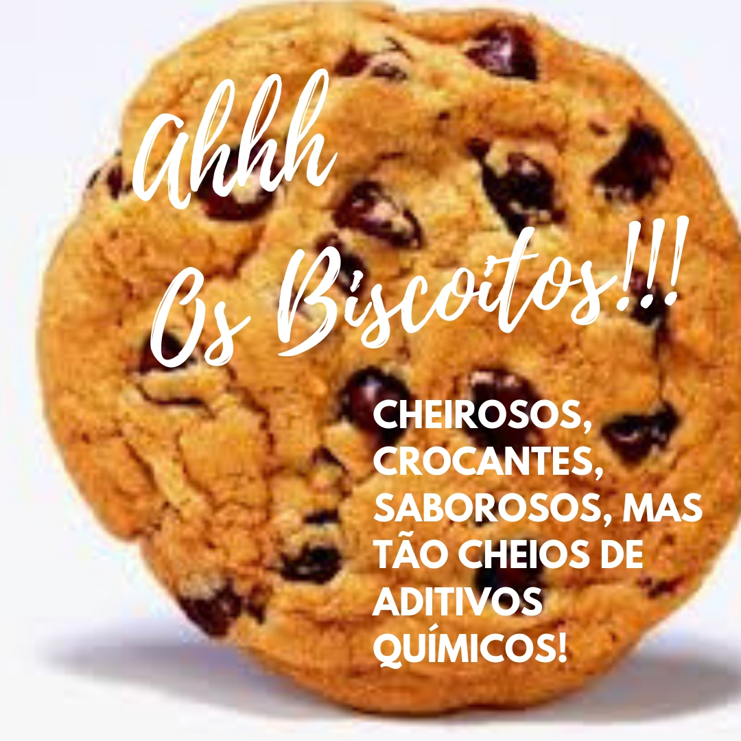 Nadı̊a Cōzzi - BioCulinária: E-Book com receitas de Biscoitos Caseiros
