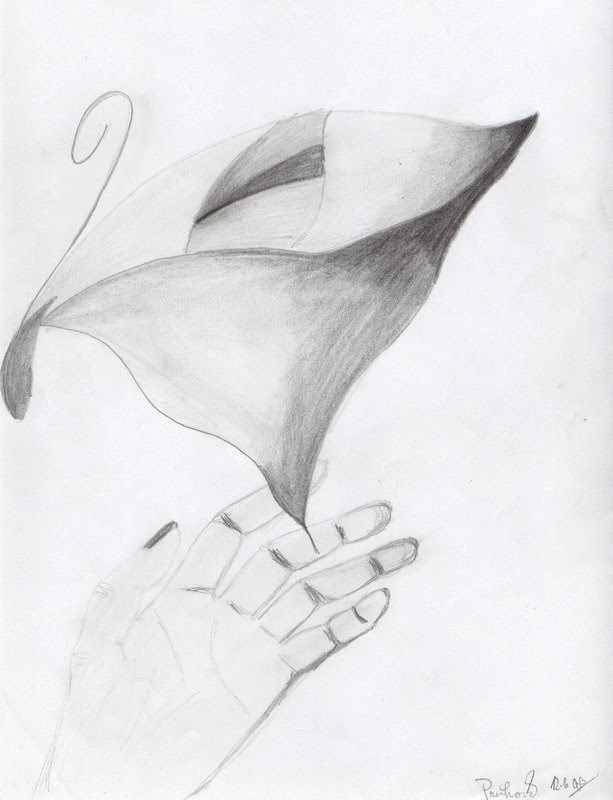 Ann Taylor: Ručně kreslené obrázky 6