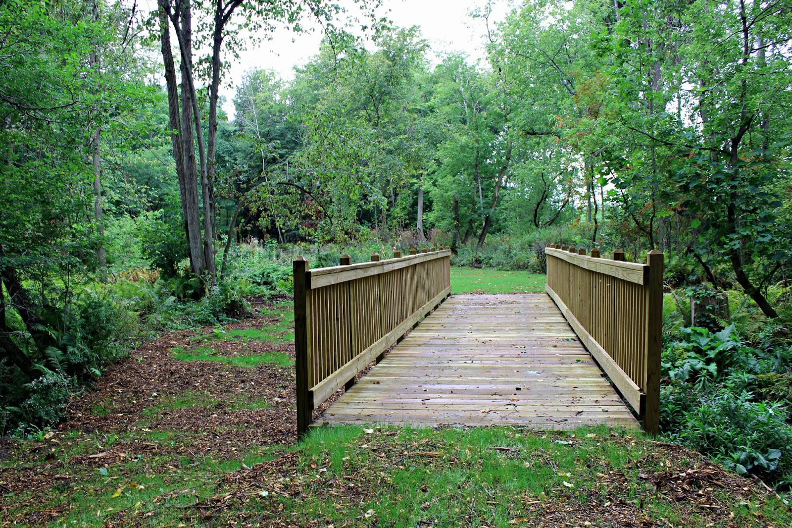 Discover The Blue: 5 Nature Trails to Explore in the Blue Water Area