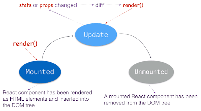 React JS: ReactJS Lifecycle