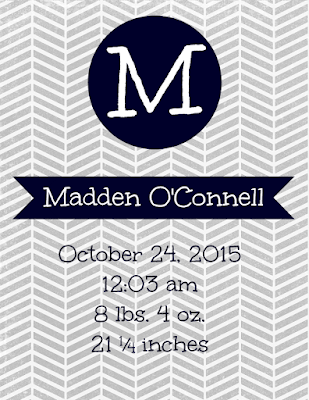 DIY Birth Stats Signs | The Inspired Hive