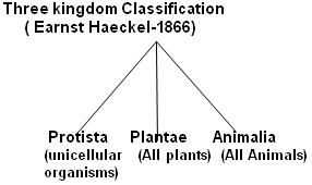 TO MY DEEPAK SIR (SHYAM S VYAS): lesson 1---Biological Classification ...