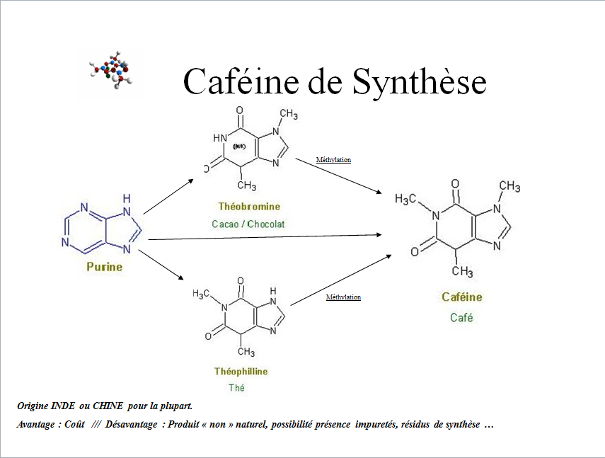 La caféine et ses effets en 2 étapes: La caféine, c'est quoi