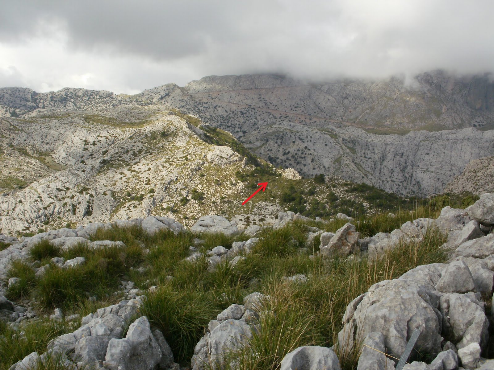 Mis días de montaña: 2012-03-25