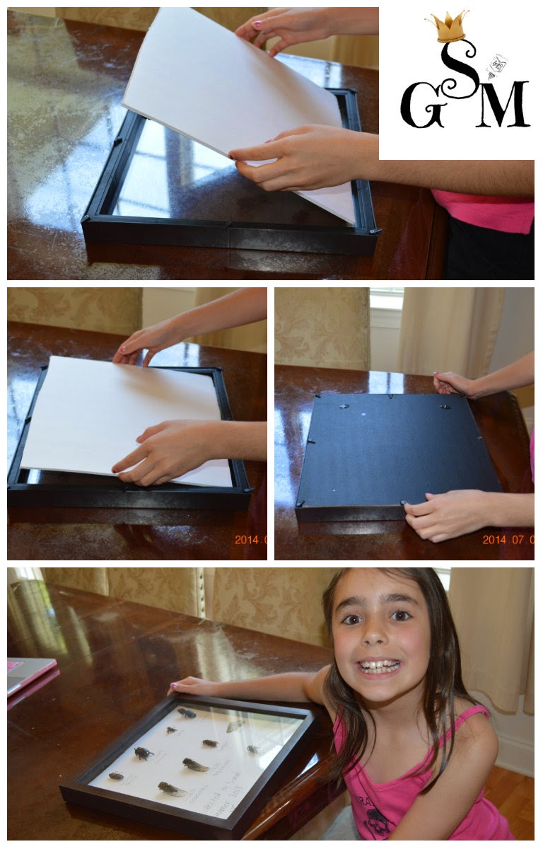 Solagratiamom: Super Easy Bug Pinning!