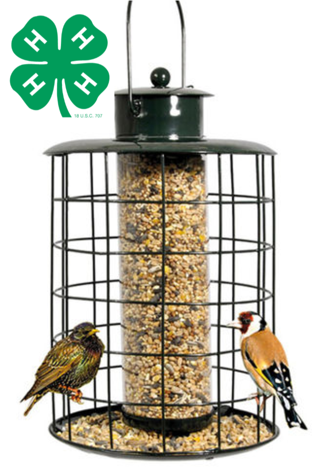 Warren County 4-H: WHEP: Birdfeeder Bird Identification Program